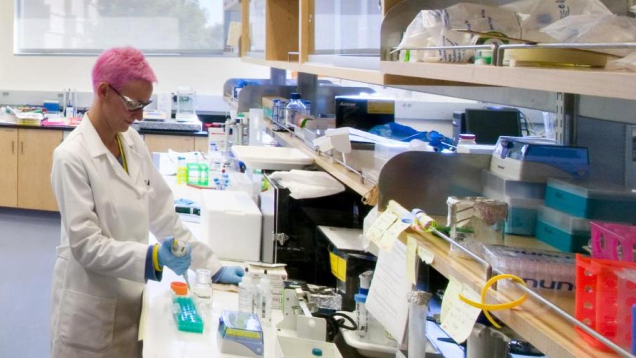 Faculty & Research | Chemistry